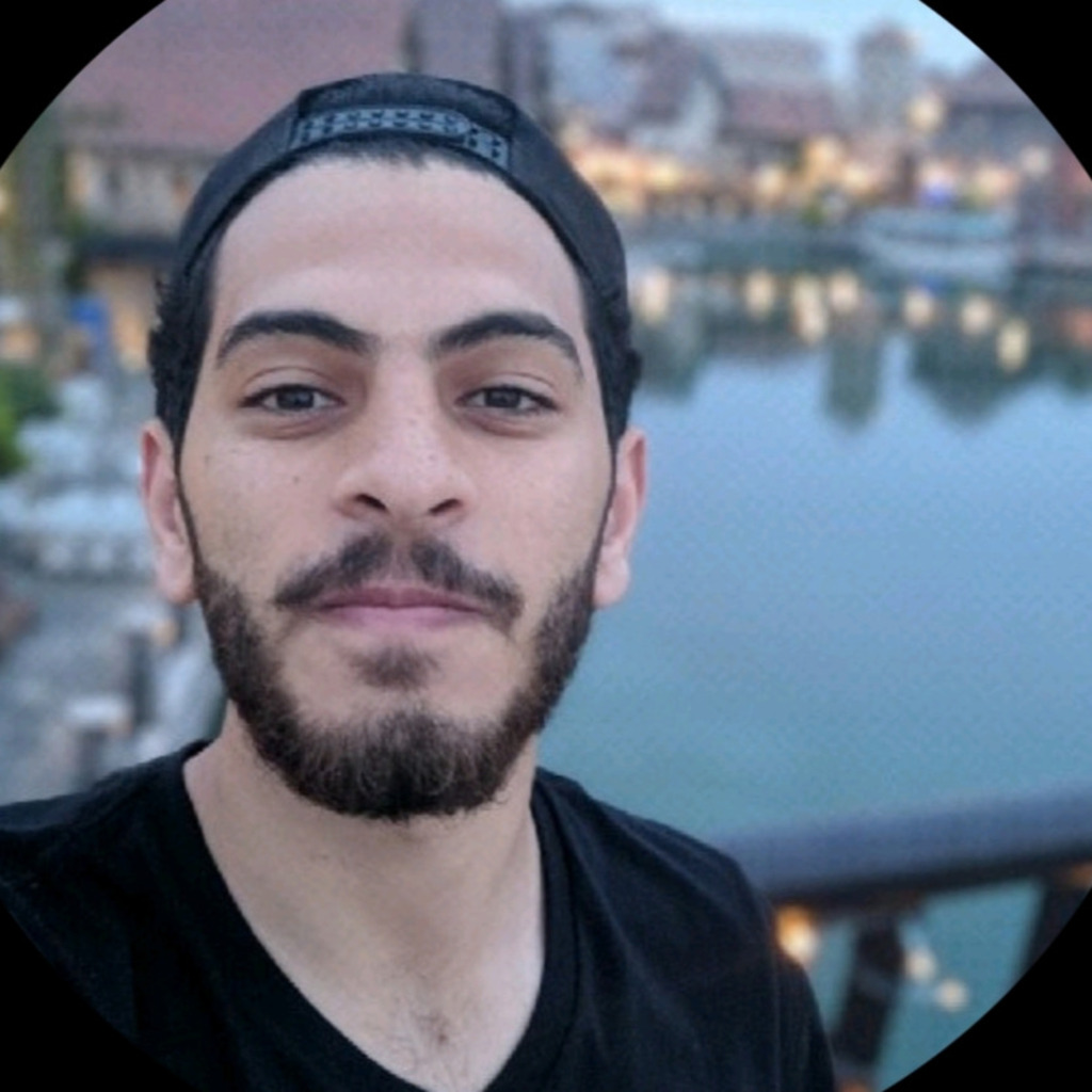 omar Walid - Mechatronics - Helwan University | XING