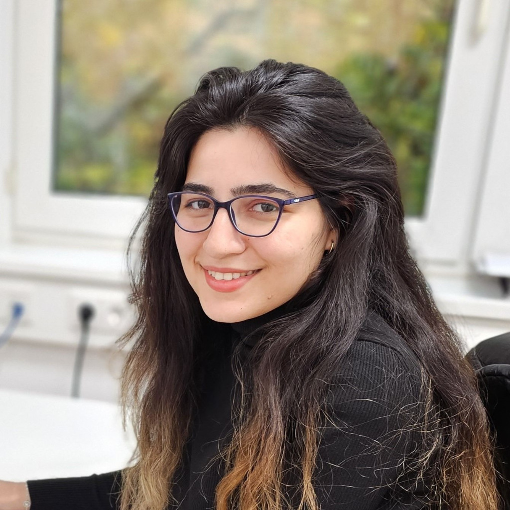 Rim BEN SAAD - Fullstack Developer - octasys GmbH | XING