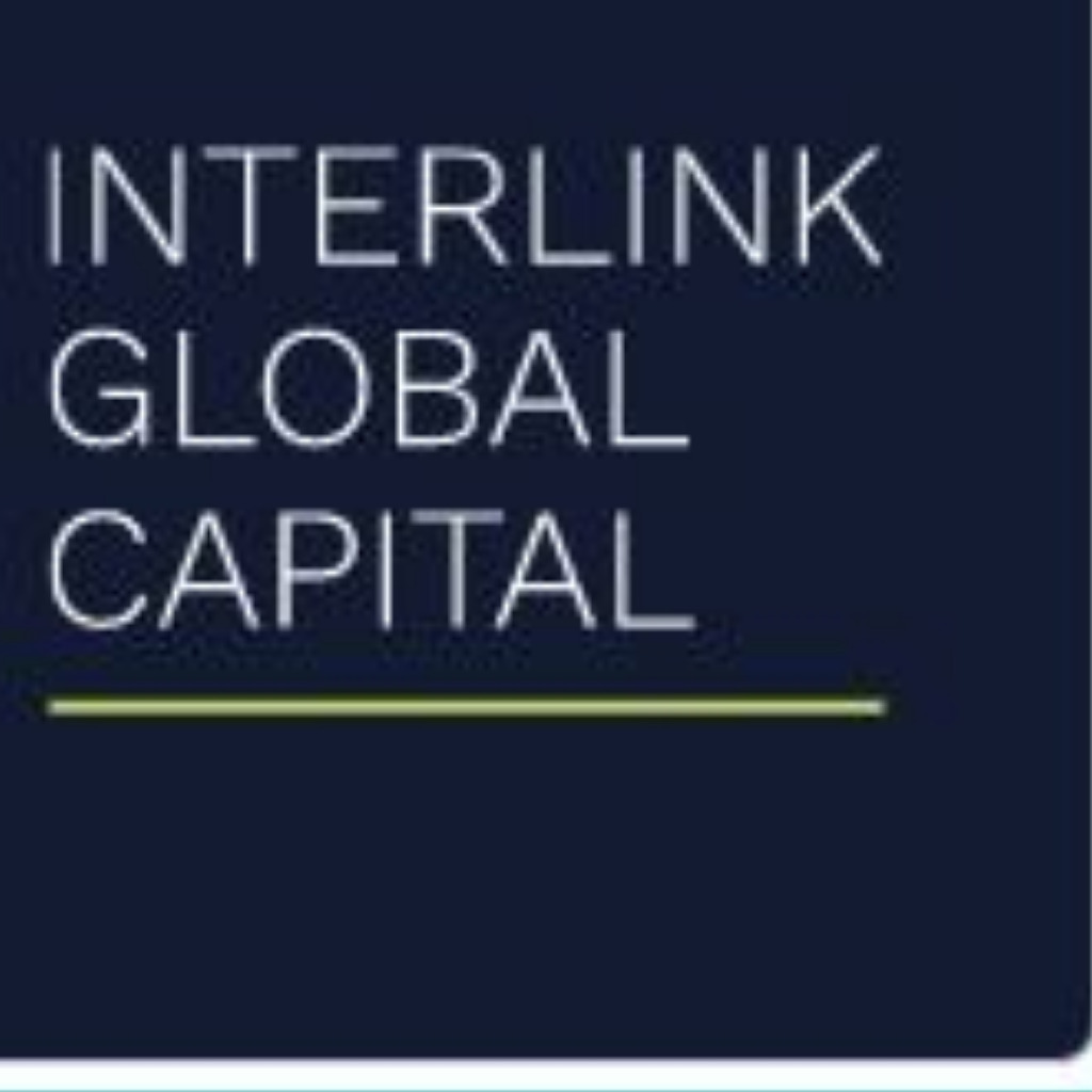 Luciana Meissner - Head of Consulting - Interlink Global | XING