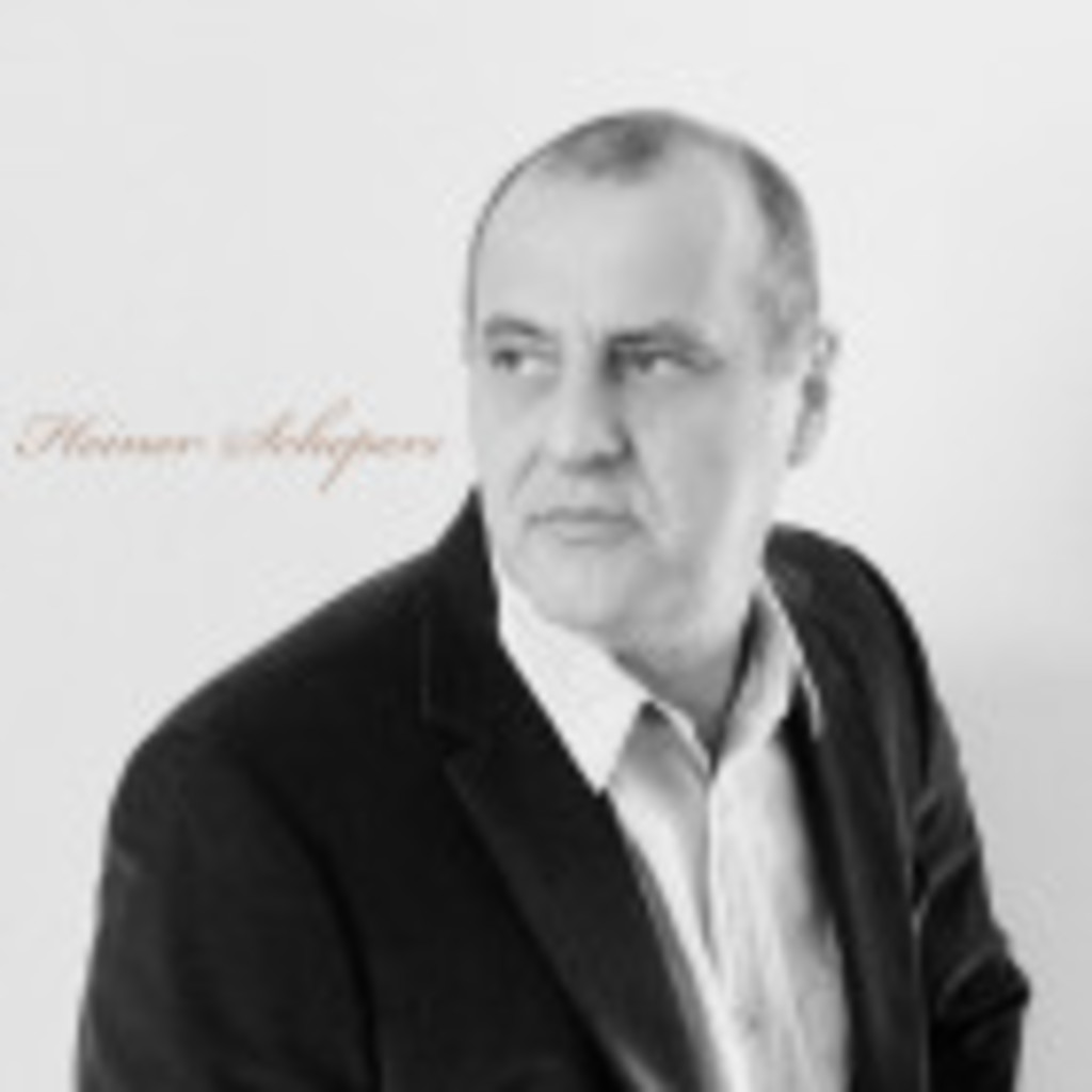 Heiner Schepers - Consultant - HWSc | XING