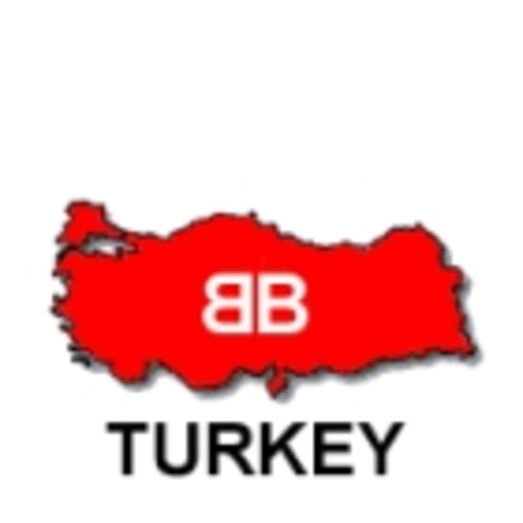 Aran Hawker - Director - BB Turkey | XING