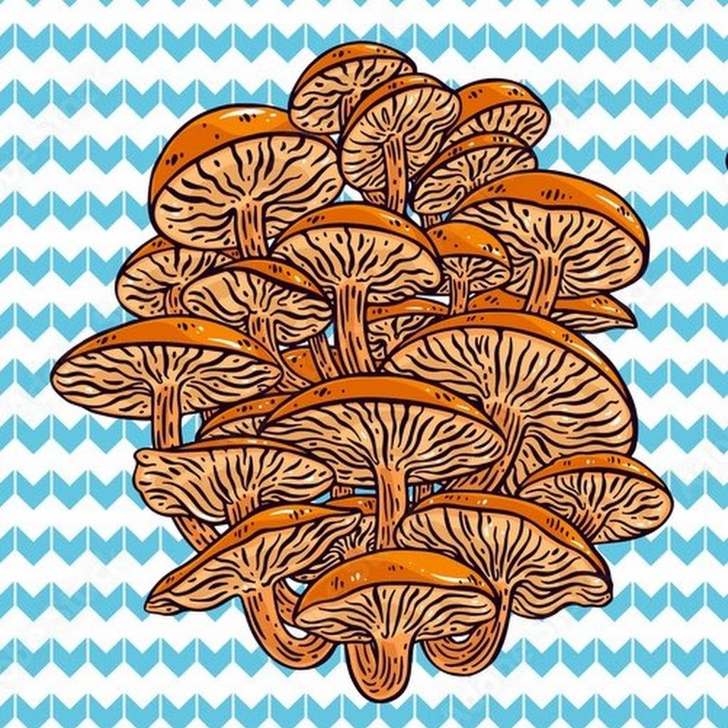 Roland Evans - Executive Director - I'm self employed | XING