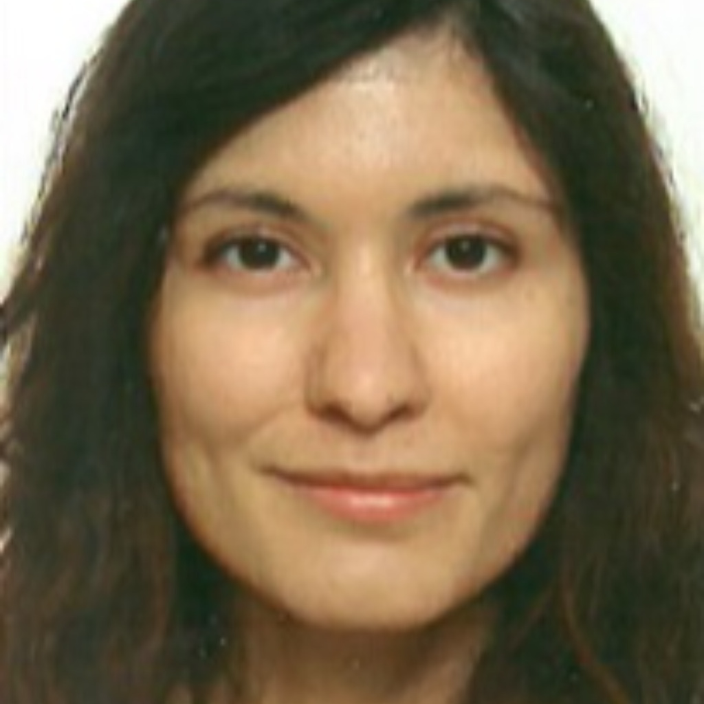 Azin Vatani - nachrichten technik engineering - Universität Duisburg ...