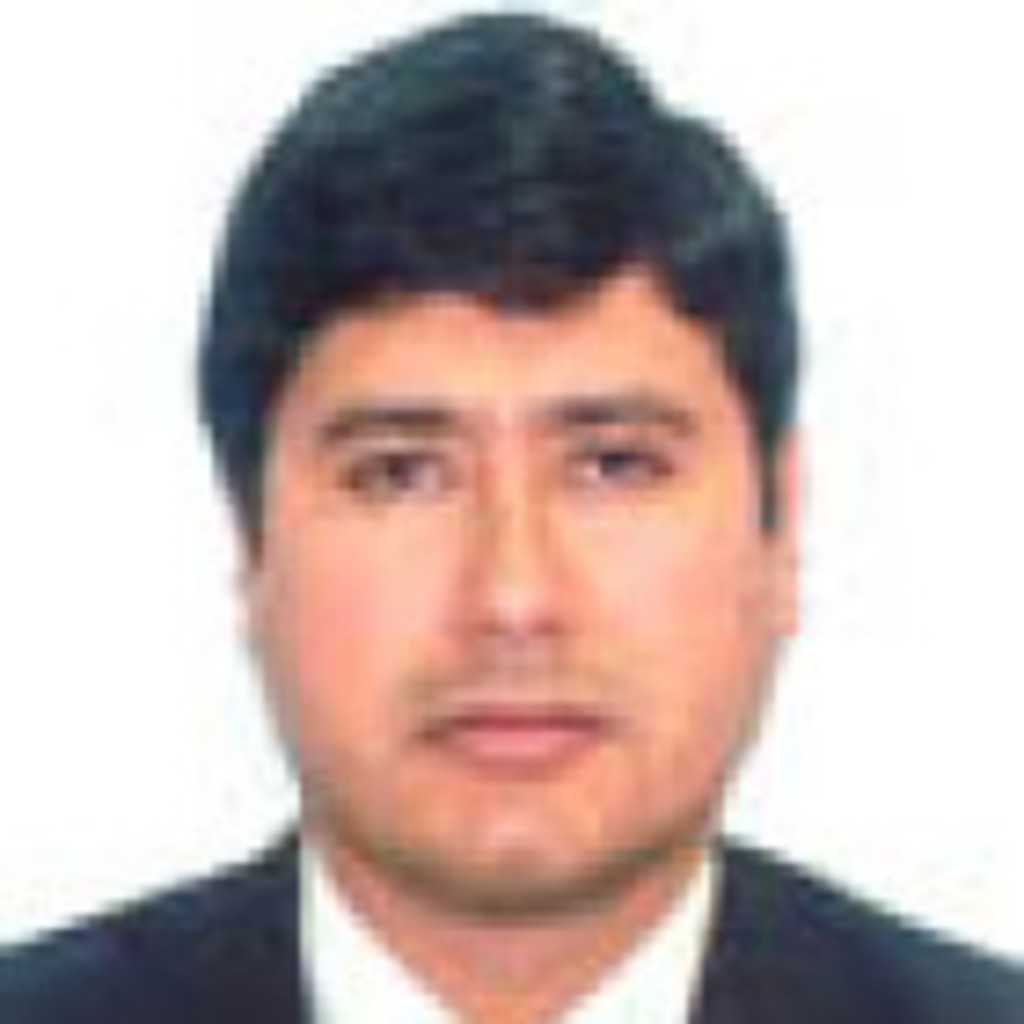 Luis Molina - secretario general - aepdse | XING