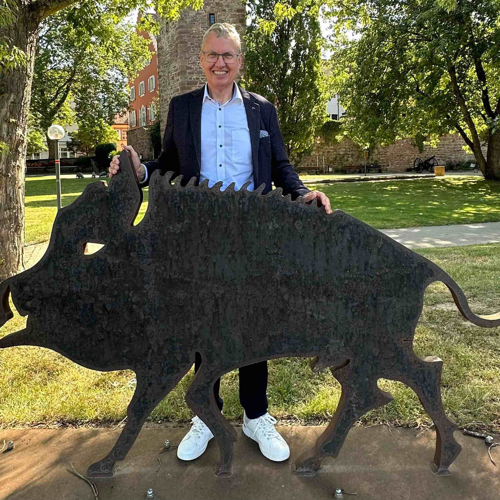 Karlheinz Emig - Regionaldirektor - Sparkasse | XING