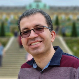 Alaa Rabie - Master Degree in Business Administration - Arab Academy ...