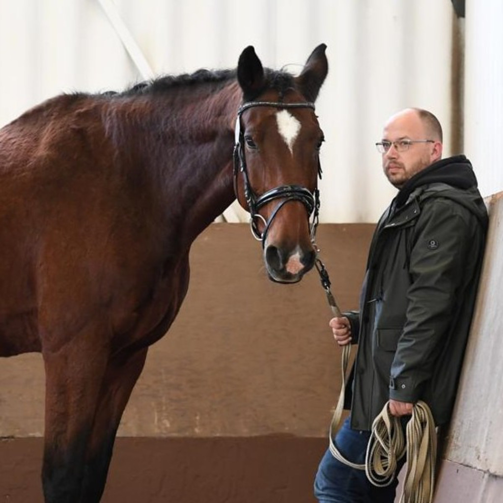 Jan Schmidt - Mitglied des Kultur und Sportausschuss - Stadtrat Osterburg | XING