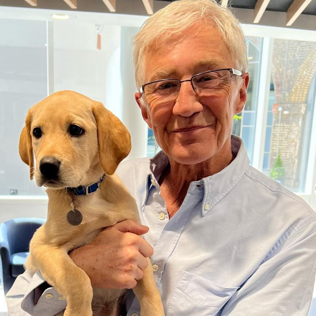 Martin Durand - chef de projet énergies renouvelables - Independant ...