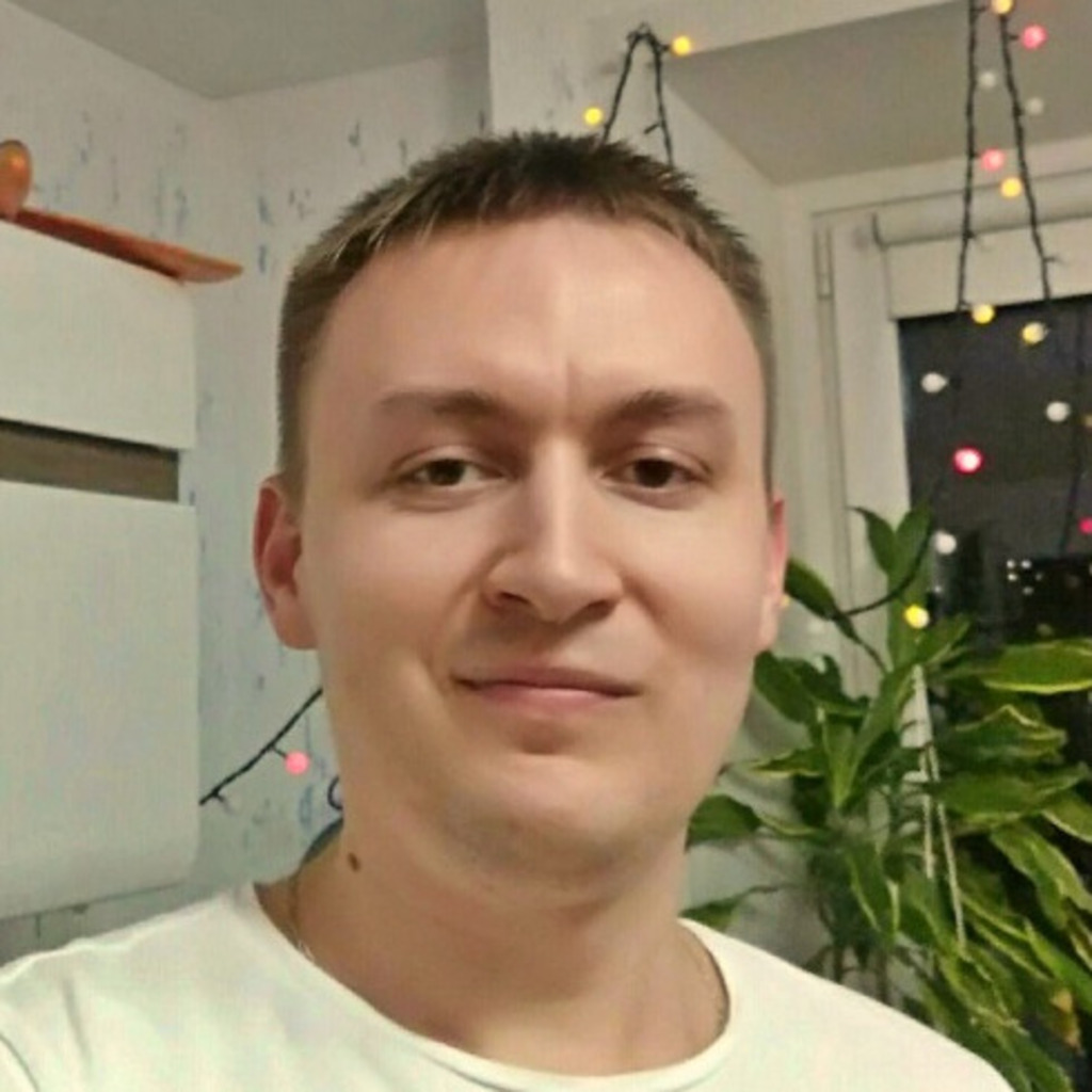 Dmitry Pliusnin - Senior Software Engineer - self-emloyed | XING