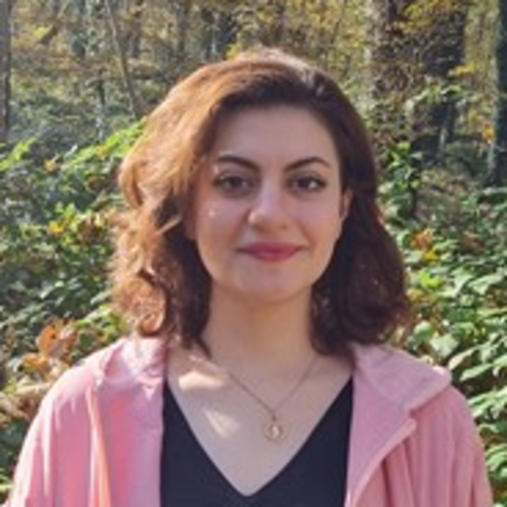 Eysan Mehrbani - ITS Solution Architecture Senior Specialist - MTN | XING