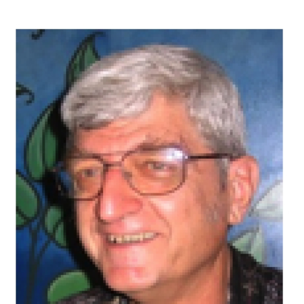 Christian Schild - Consultant - Triswenni & Associate | XING