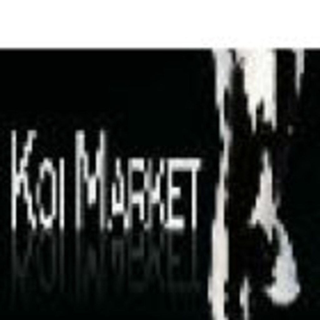 Shawn Rosen - Koi Fish and Pond Retailer - Koi Market | XING