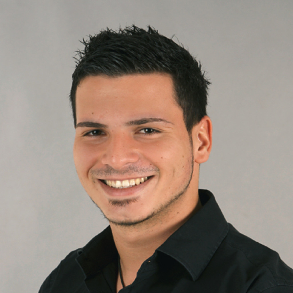 Nikola Starcevic - SAP Super User / Process Coordinator - Uster ...