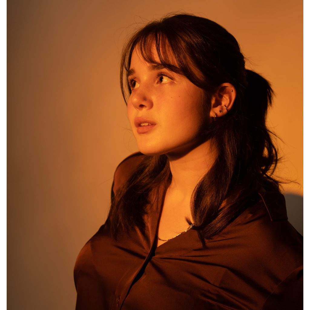 Elif Sara Demirel - Media and Communications for digital business - FH ...