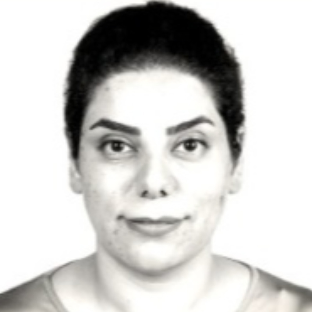 sareh heydari - IT Specialist - Mellat Bank | XING