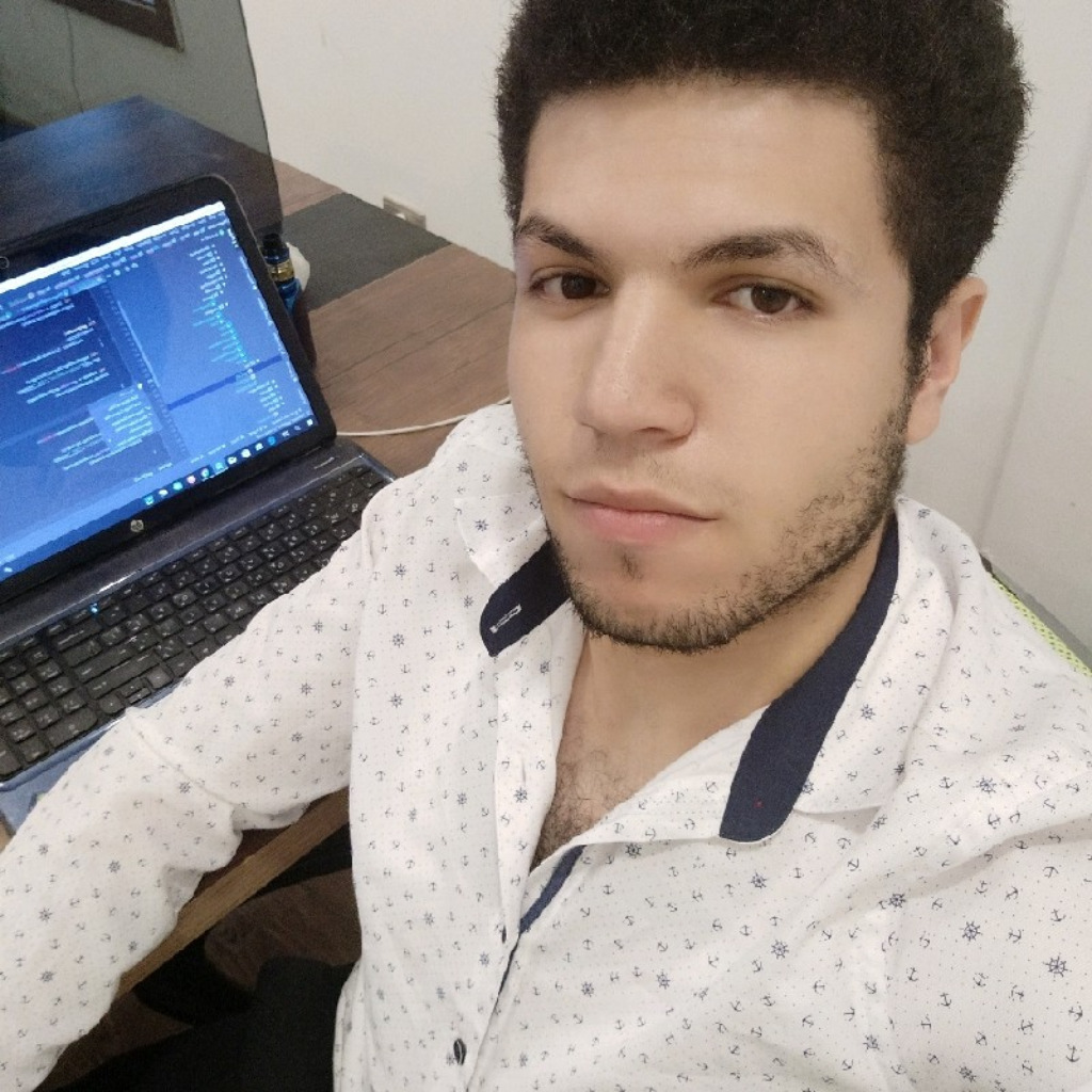 Ing. Abdallah Elshenawy - Android Developer - fritill | XING