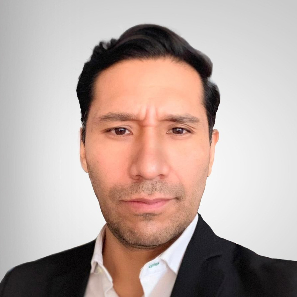 Danny Ceballos - Projektmanager / Projektleiter - Mehr Consultores SAS ...