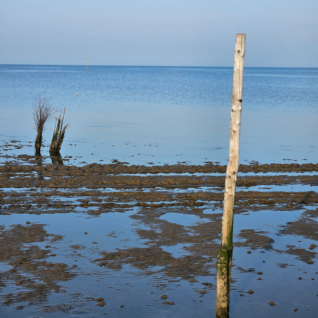 Michaela Pawlowski - Diplom-Psychologin - freischaffend | XING