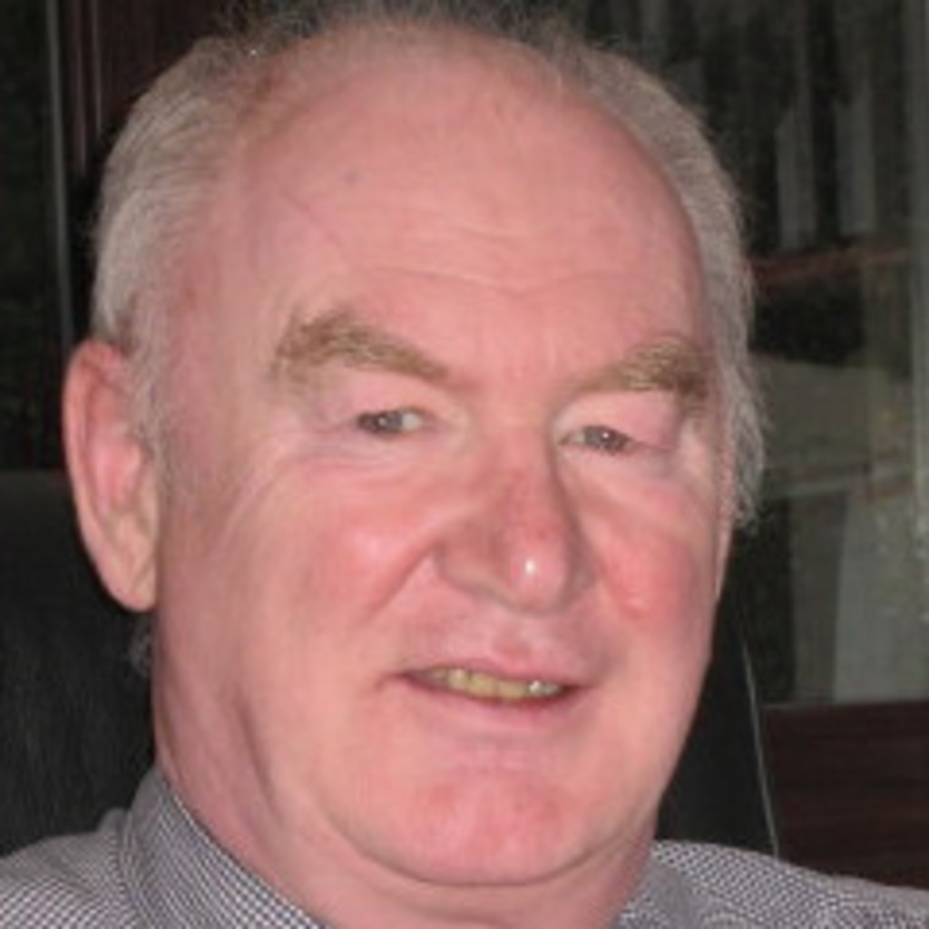 David Green - Director - Intermet Alloys | XING