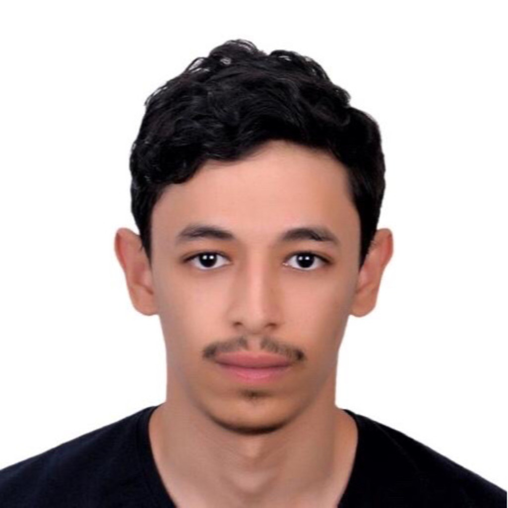 Aiman Ouali - Electronic software engineer - Electrolux Rothenburg GmbH Factory and Development ...