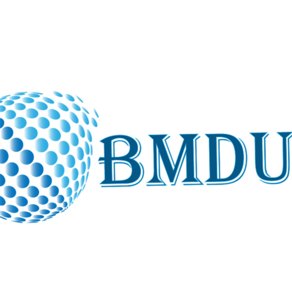 Vipin Bmdu - Digital Marketing Manager - BM Digital Utilization | XING