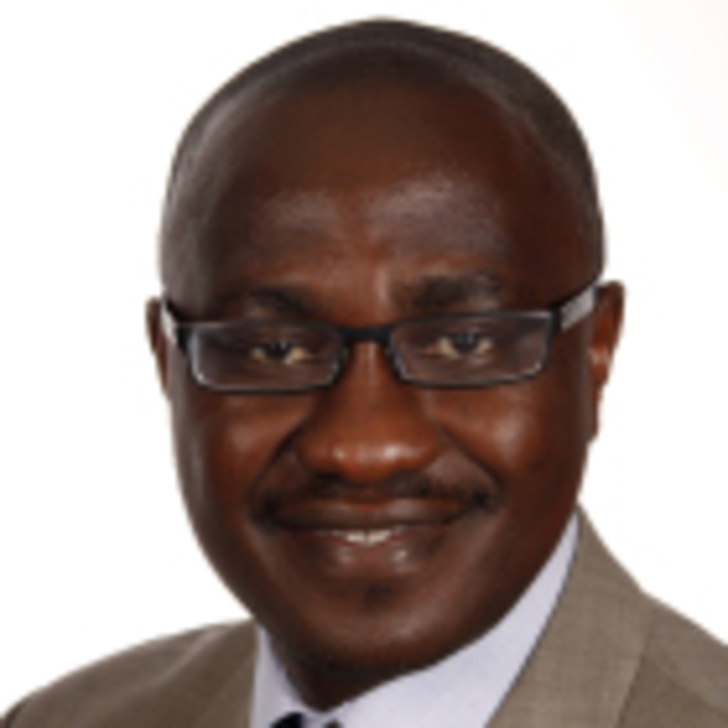 Divine Uche Akukwe - Software Test Manager - Continental AG Frankfurt ...