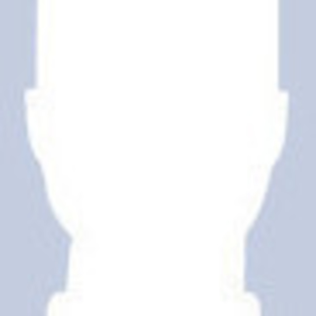 Mustafa Kanik: IT Consultant | XING