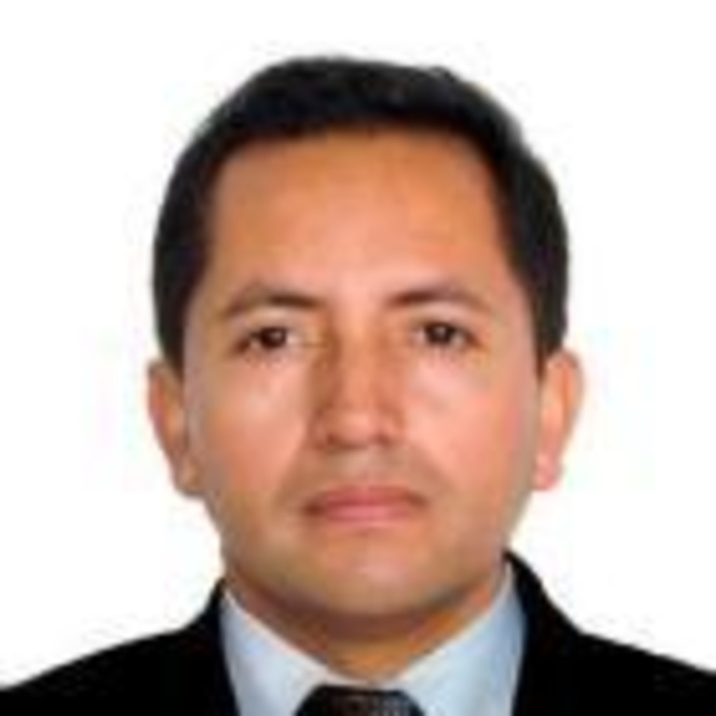 David Altamirano - Jefe de sistemas - Tecsof | XING