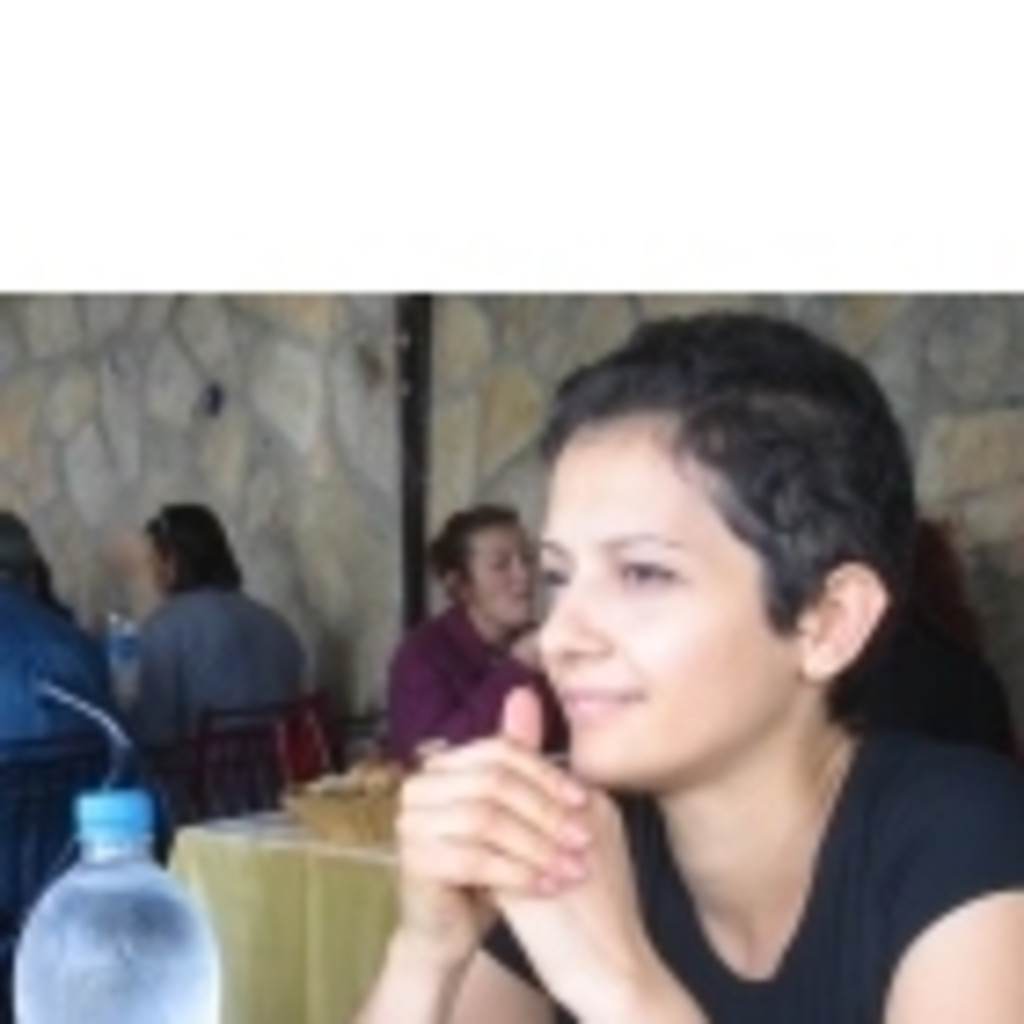 Özlem Kılıç - Genel Koordinatör - Verkata Software innovation at the ...