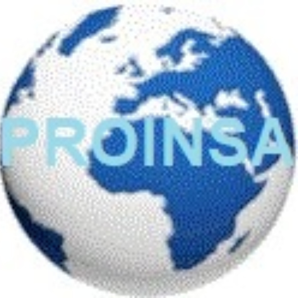 Proinsa Proinsa - profesional - PROINSA | XING