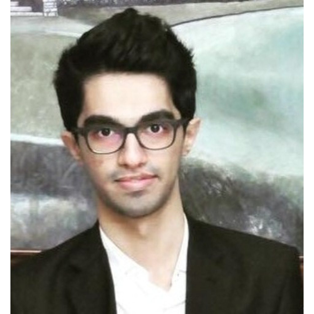 Ali Abbas - Business Analyst - Bank Al Habib | XING