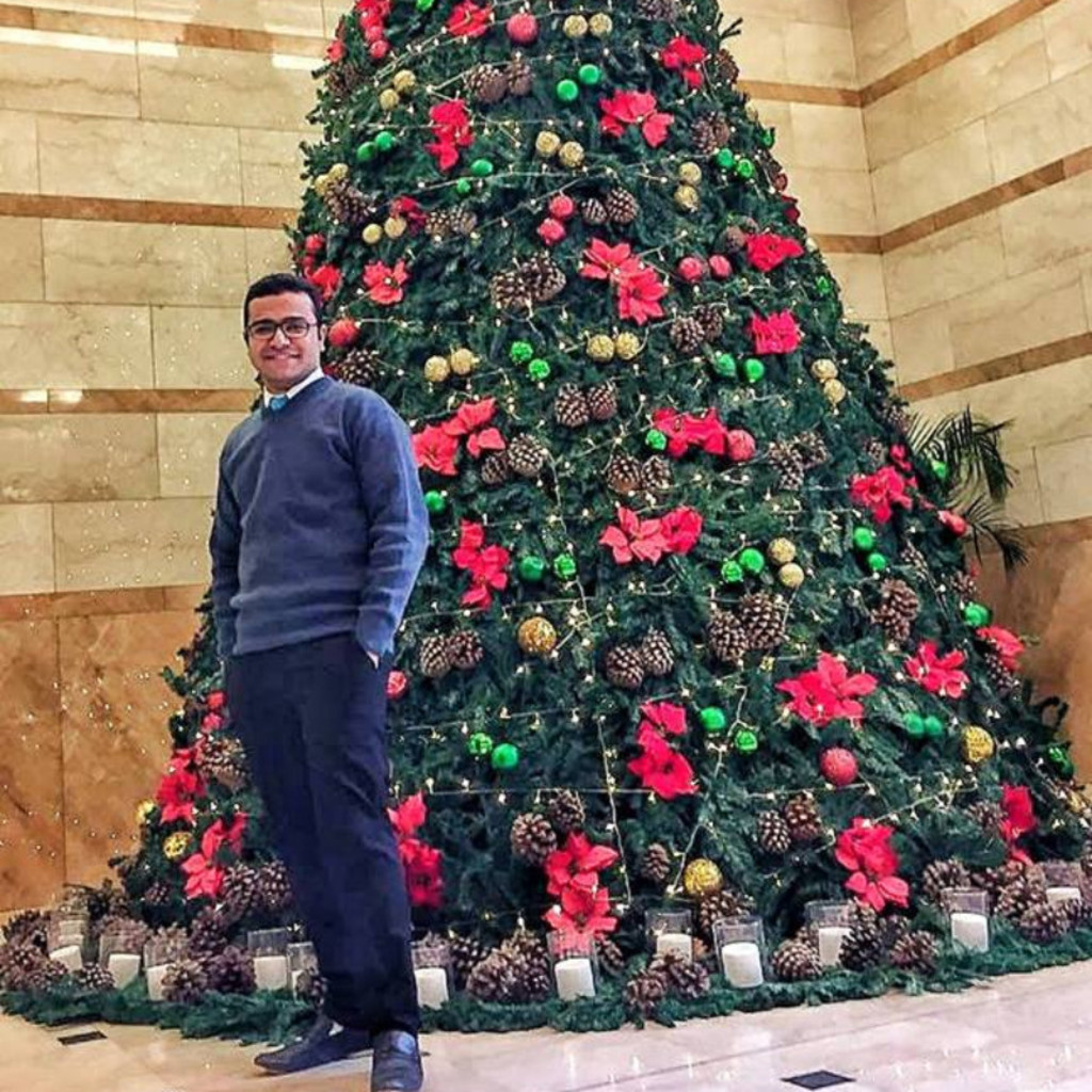 Nader Naguib - Experienced Associate - Deloitte Egypt | XING