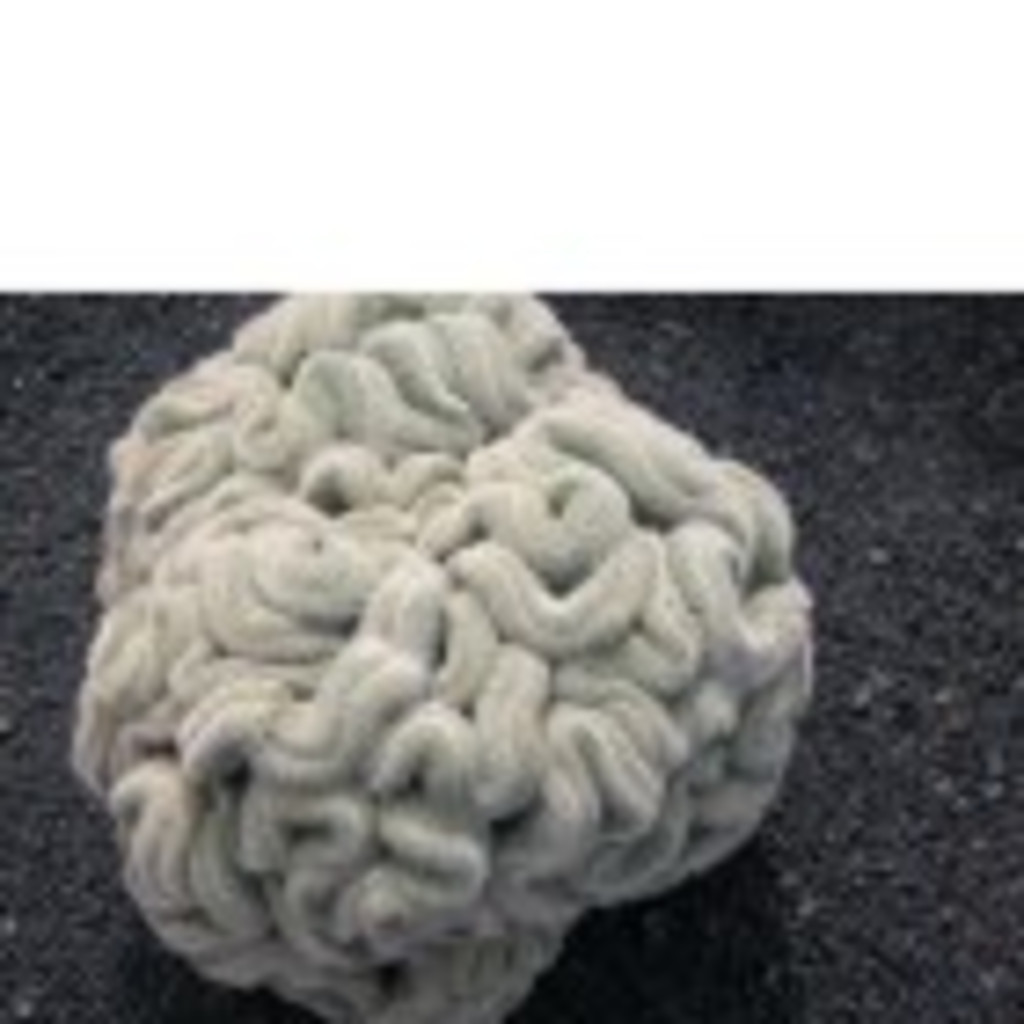 Armin Raab - Category Manager - Novartis | XING