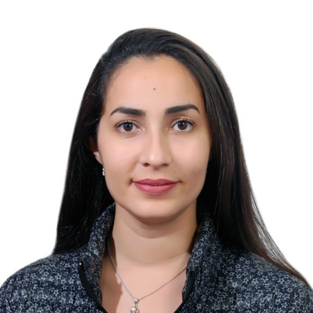 Zainab Afailal - Postdoctoral Researcher - University of Saragossa | XING