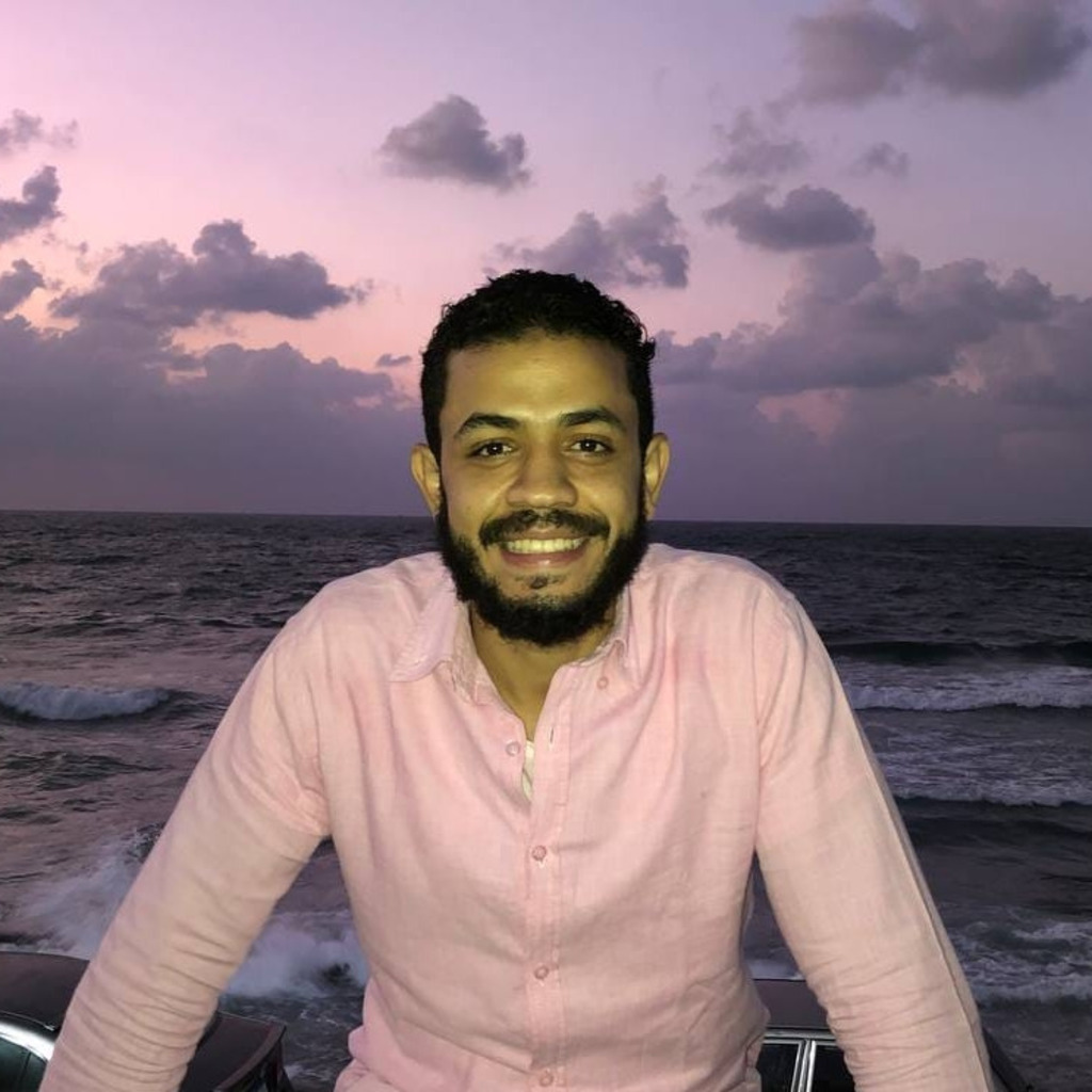 Mostafa Naguib - BitBang Llc - BitBang Llc | XING