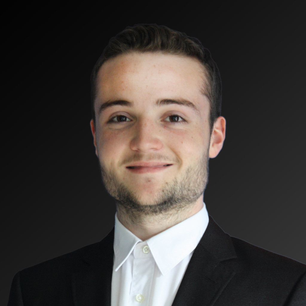 Robin Heinz - Business Administration - WFI - Ingolstadt School of ...