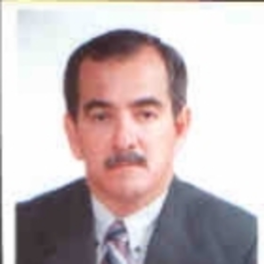 Enrique Gines - Presidente - Constructora Gines S.A. | XING