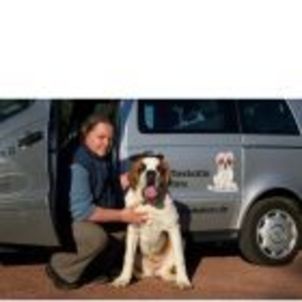 Melanie Reimer - Tierärztin - Mobile Tierarztpraxis | XING