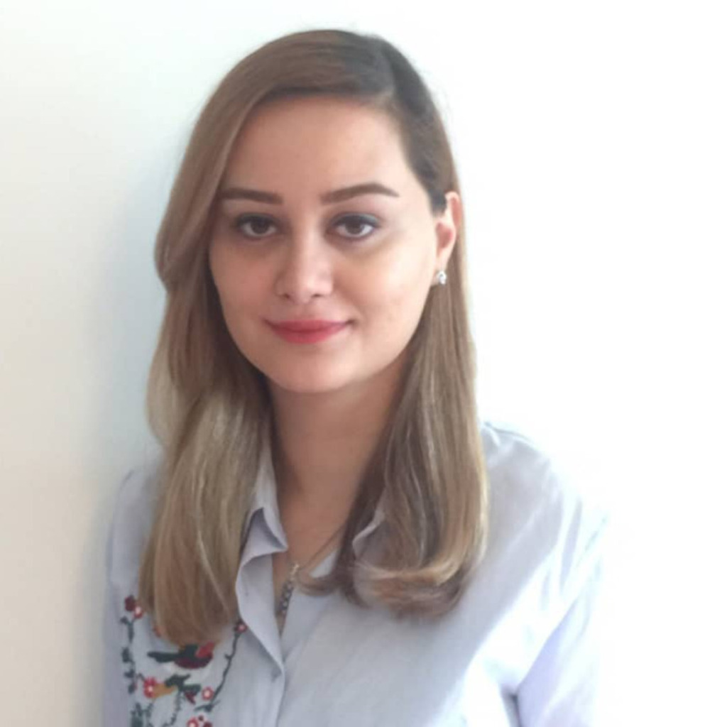 Mona Arab - Software Developer - Hans Krempl Haustechnik GmbH | XING