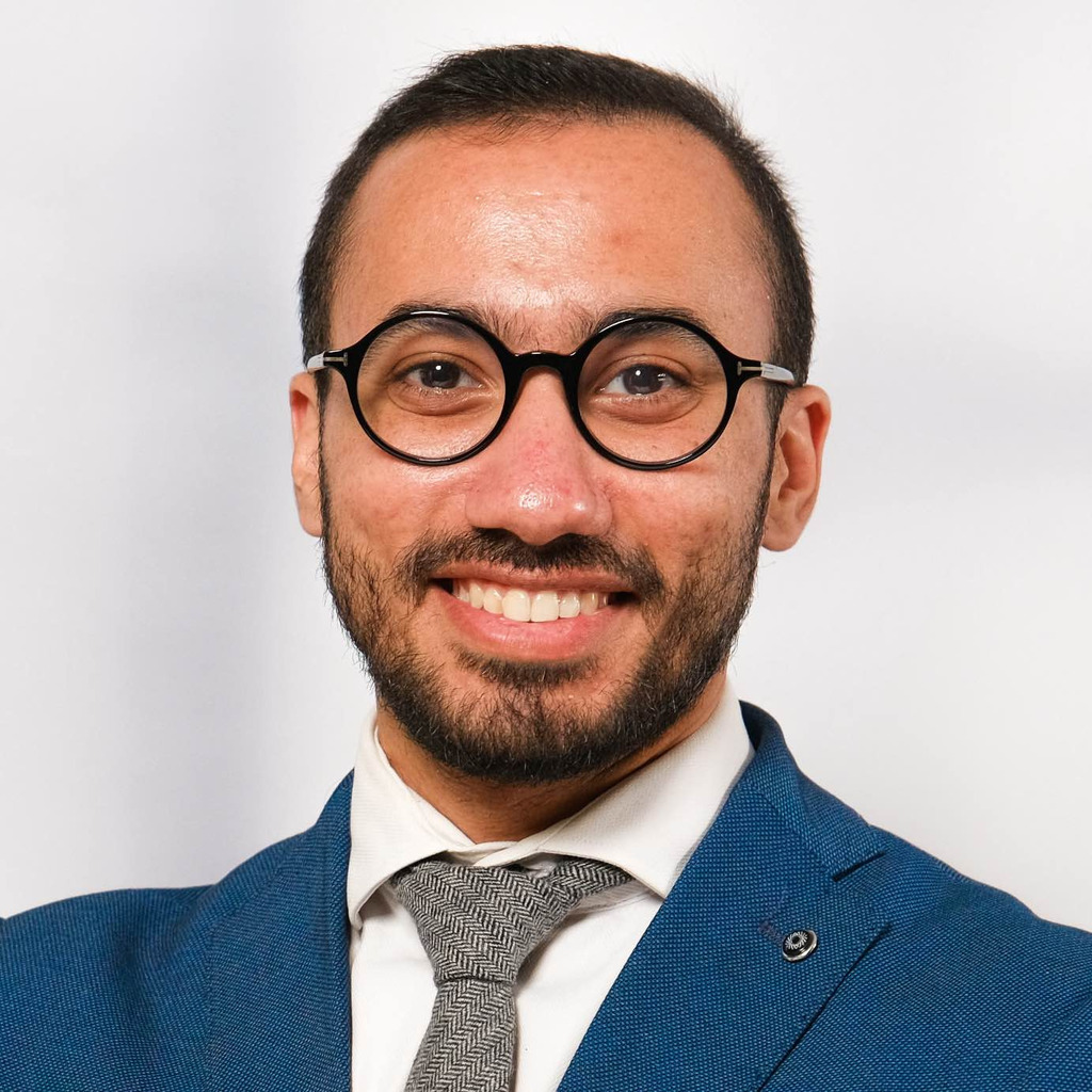 Hady Genady - Wirtschaftsprüfer - Deloitte Germany | XING