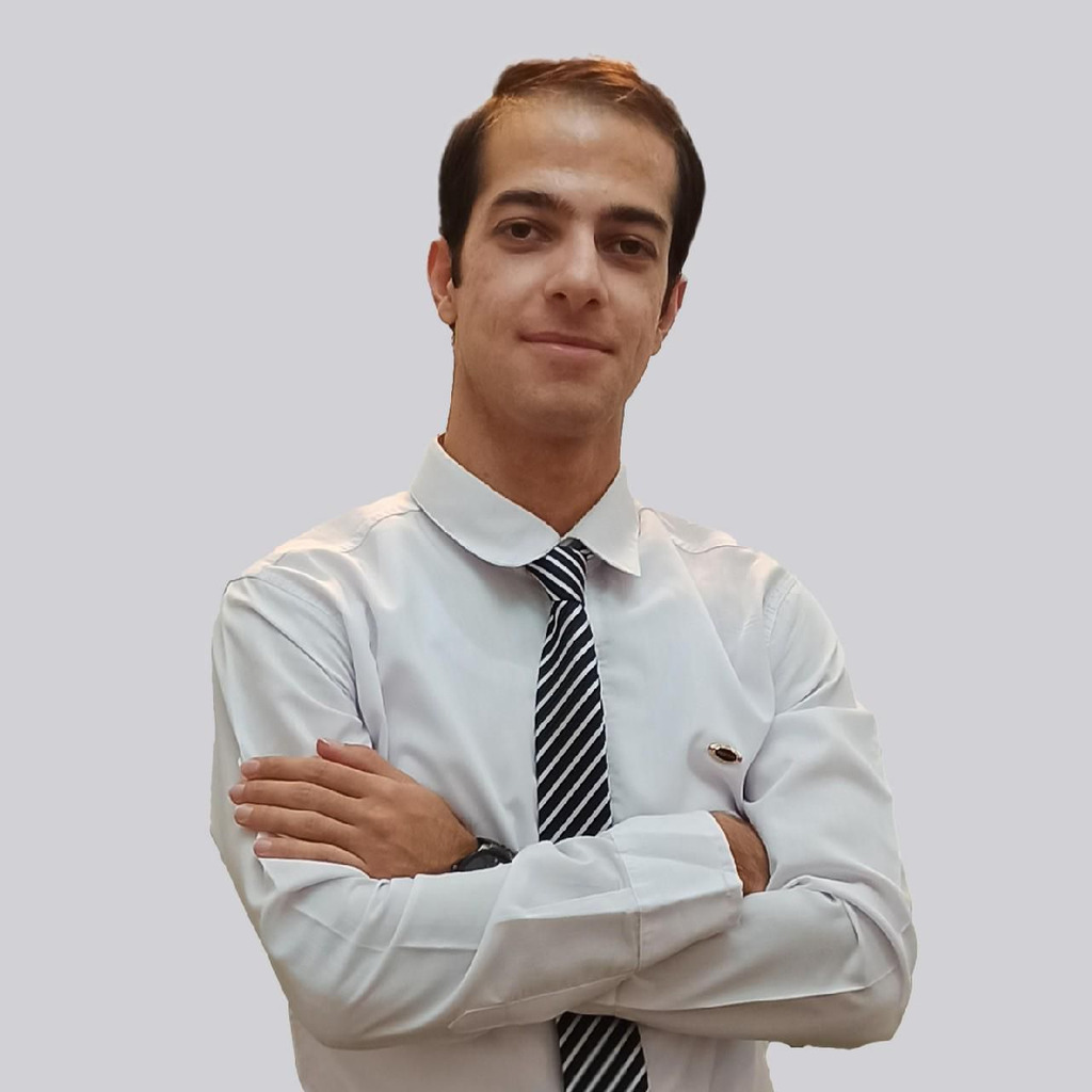 afshin zeinaddini Meymand - Mechanical Engineering - Polytechnic University of Turin | XING