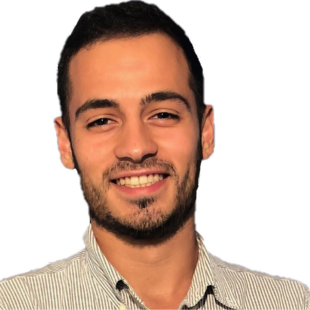 David Rebollo - Engineering and Renewables HR Consultant - Polyglot ...