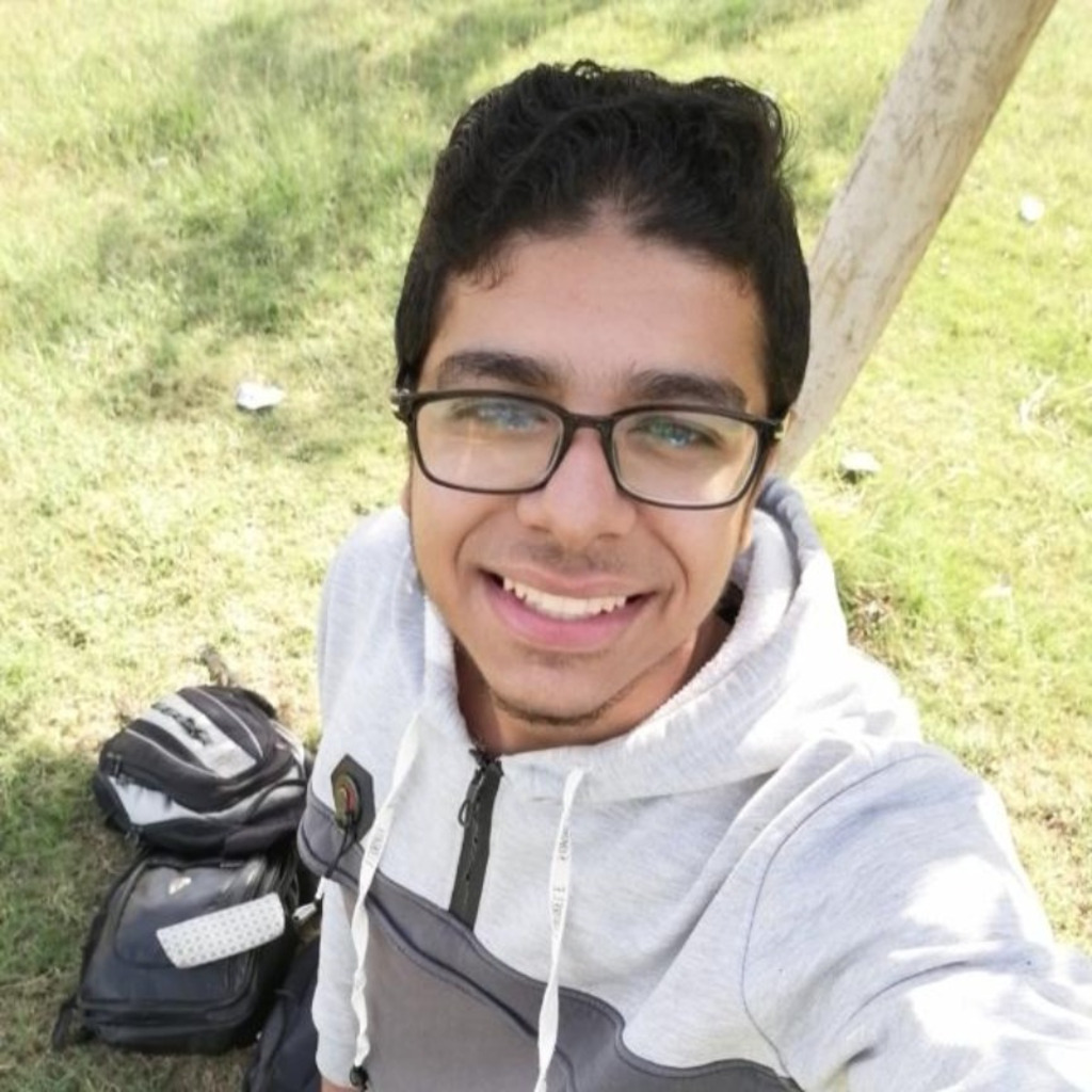 Mostafa Shaheen - Chemistry - Al-Azhar University | XING