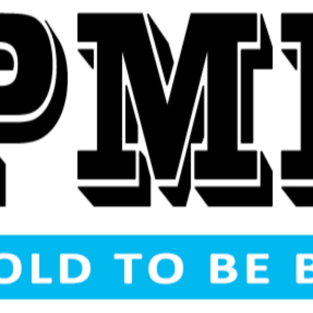 Jim PMP - (Injection Molds for Automotive industry ) Project Senior ...