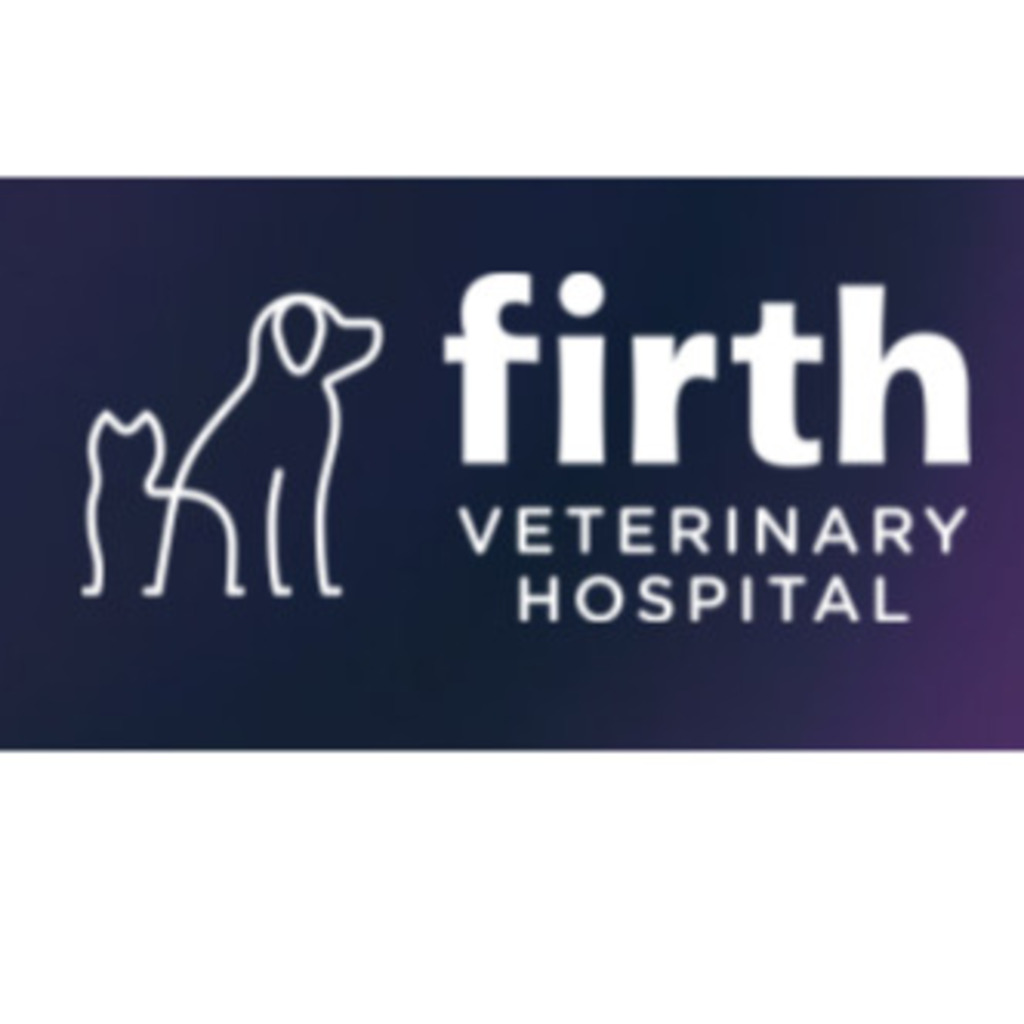 Conway David - SEO Manager - Firth Veterinary Hospital | XING