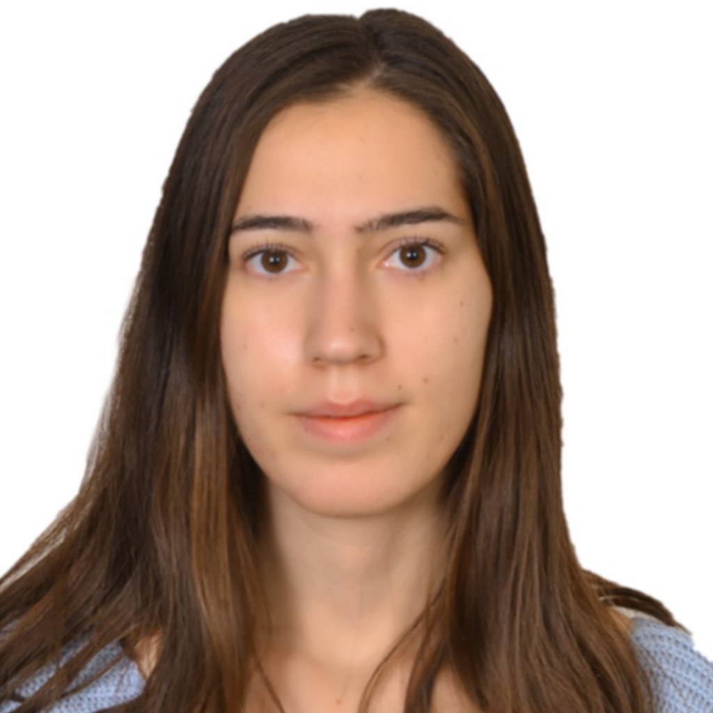 BEGUM BOZOGLU - Business Intelligence Analyst - Intertech | XING