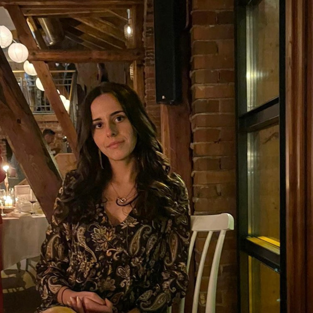 Sara Soeiro Gomes - Wirtschaftswissenschaften - Leibniz Universität ...